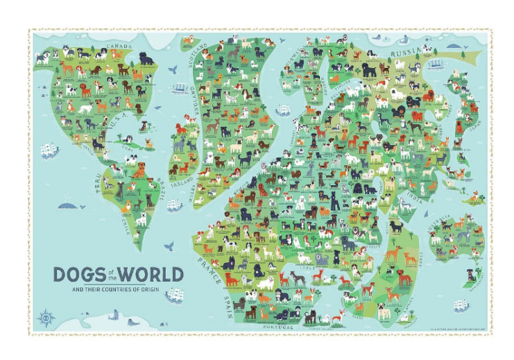 Dogs of the World - A Dog Breed Map by Lili Chin