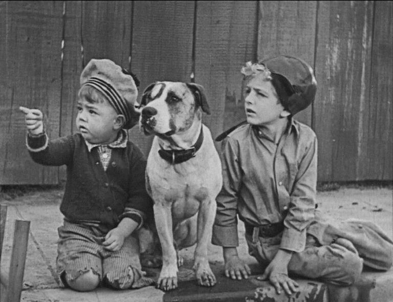 Which Petey is which? The Historical Record About “Our Gang” Dog Isn’t ...