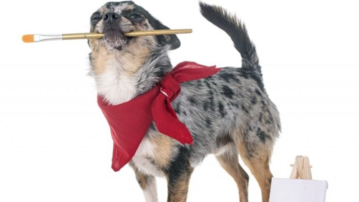 The Story Behind Those Bangor Bar Hounds - Oh Mi Dog